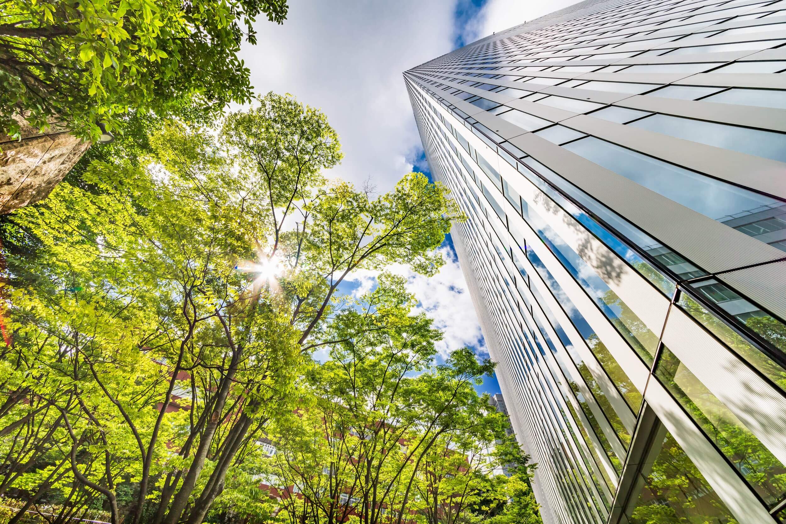 What does Net Zero carbon mean for businesses? | Amber